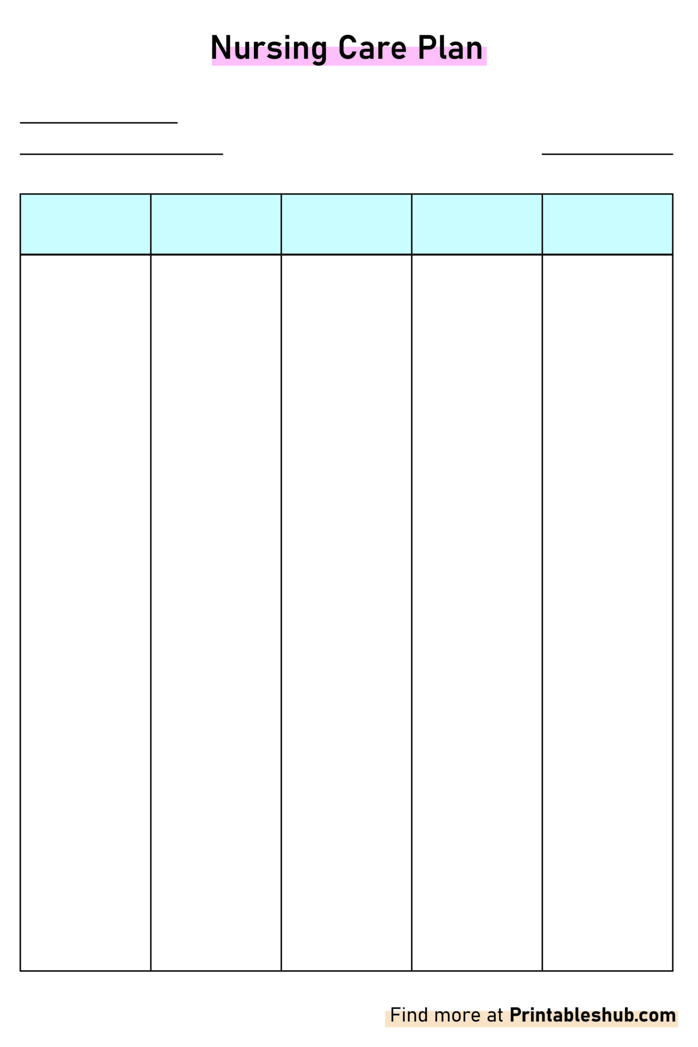 Free Printable Blank Nursing Care Plan Templates [PDF Included ...