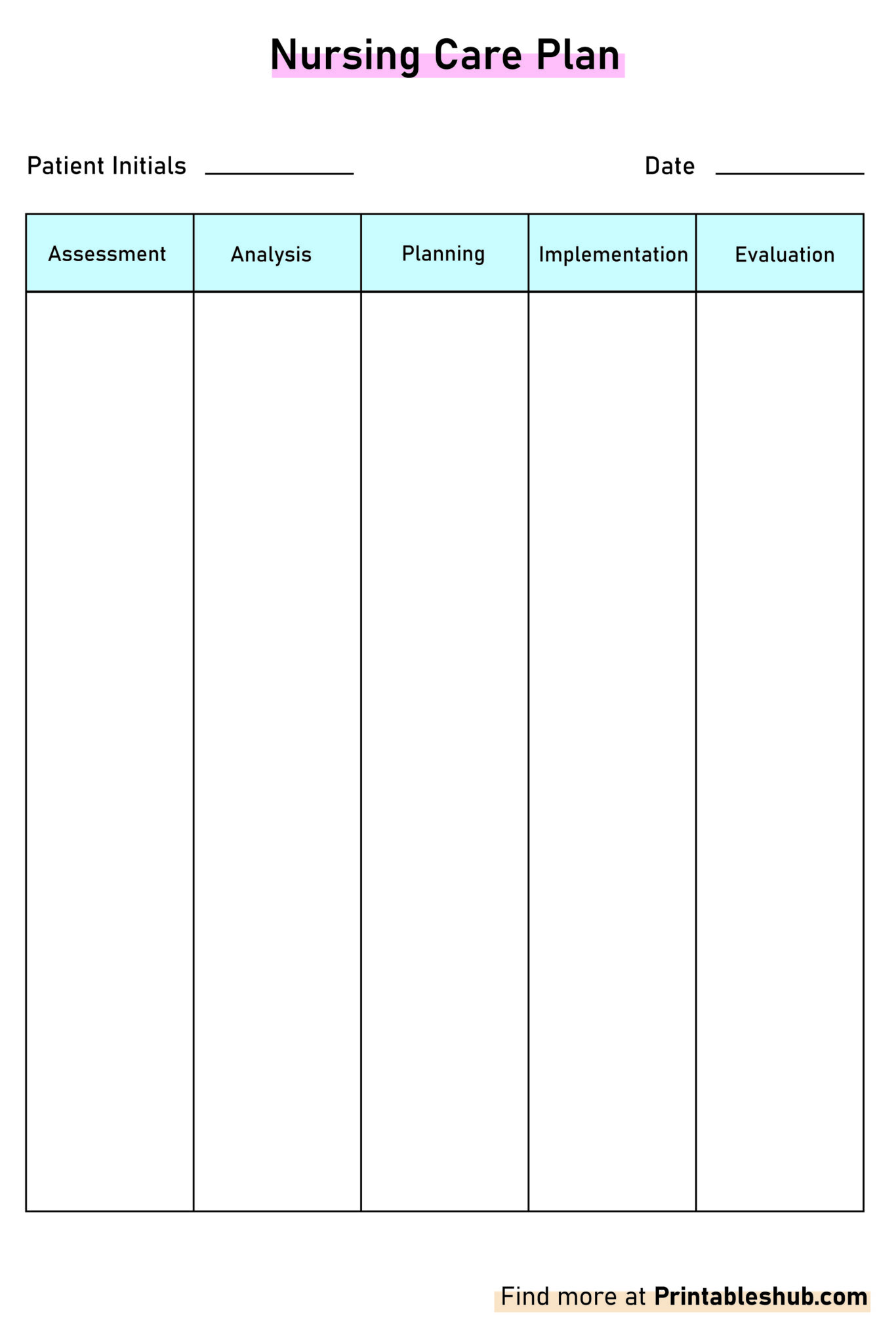 Free Printable Blank Nursing Care Plan Templates [PDF Included ...