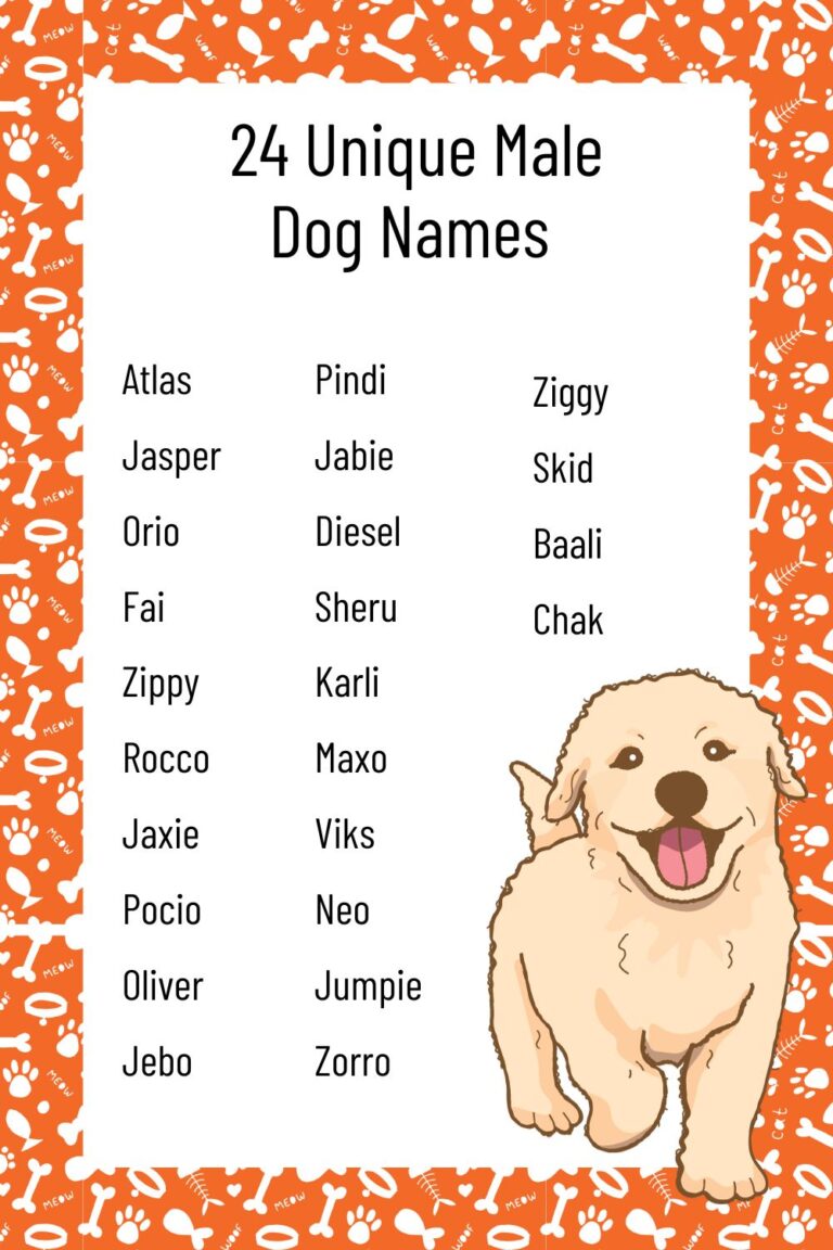 Printable List Of Unique Male Dog Names [PDF Included] - Printables Hub