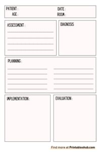 Free Printable Blank Nursing Care Plan Templates [PDF Included ...