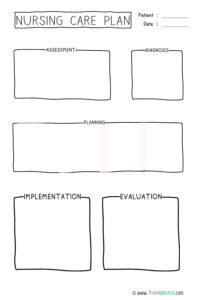 Free Printable Blank Nursing Care Plan Templates [PDF Included ...