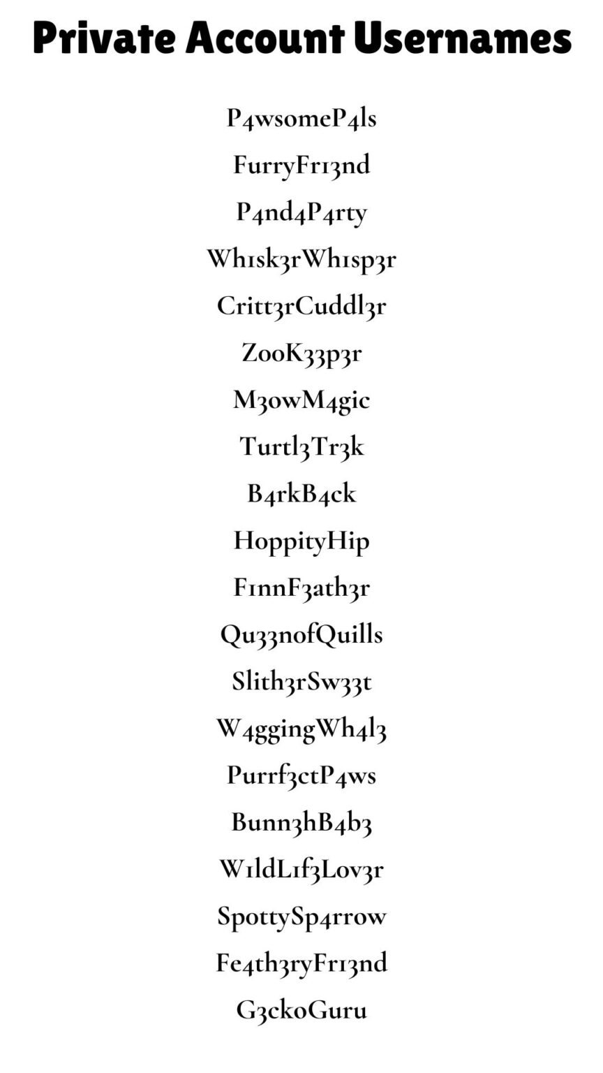 Printable Private Account Username Ideas List - Printables Hub