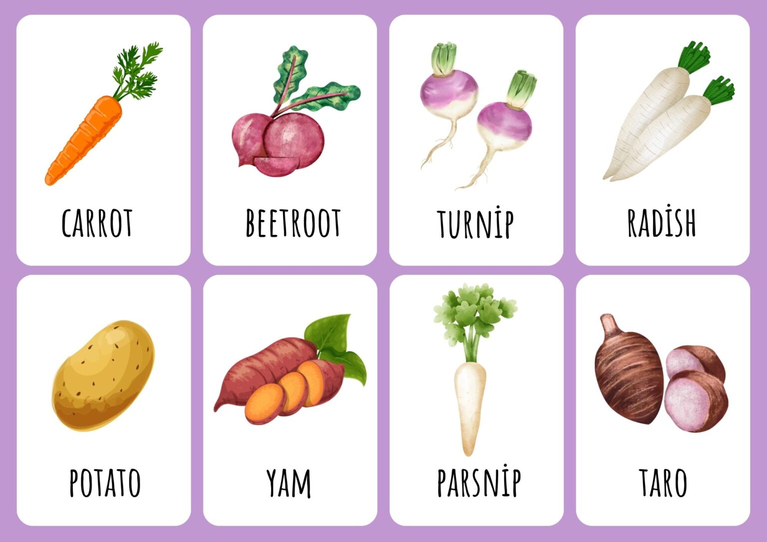 Printable Vegetable Flashcards - Printables Hub