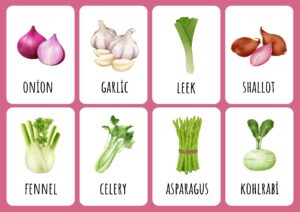 Printable Vegetable Flashcards - Printables Hub