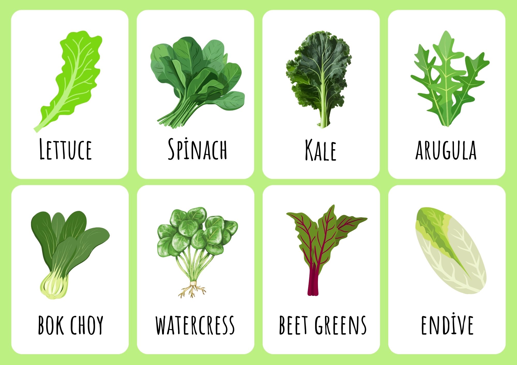 Printable Vegetable Flashcards - Printables Hub