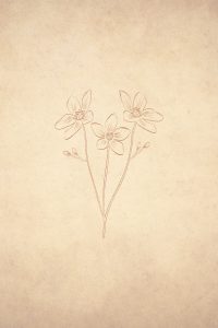 Printable Blank Wallpapers - Printables Hub