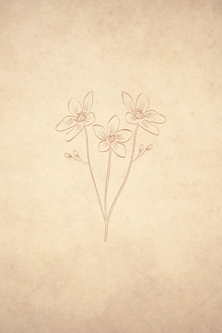 Printable Blank Wallpapers - Printables Hub